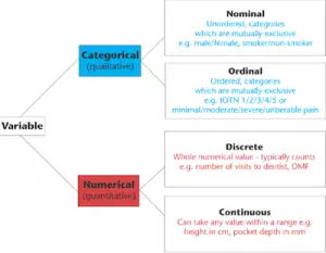 Count Variables Vs Continuous Variables: Understanding The Differences ...